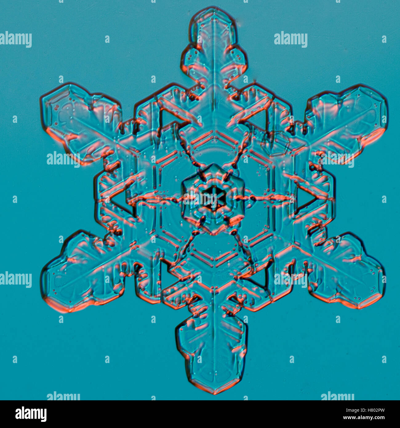 Snowflake seen through microscope Stock Photo - Alamy