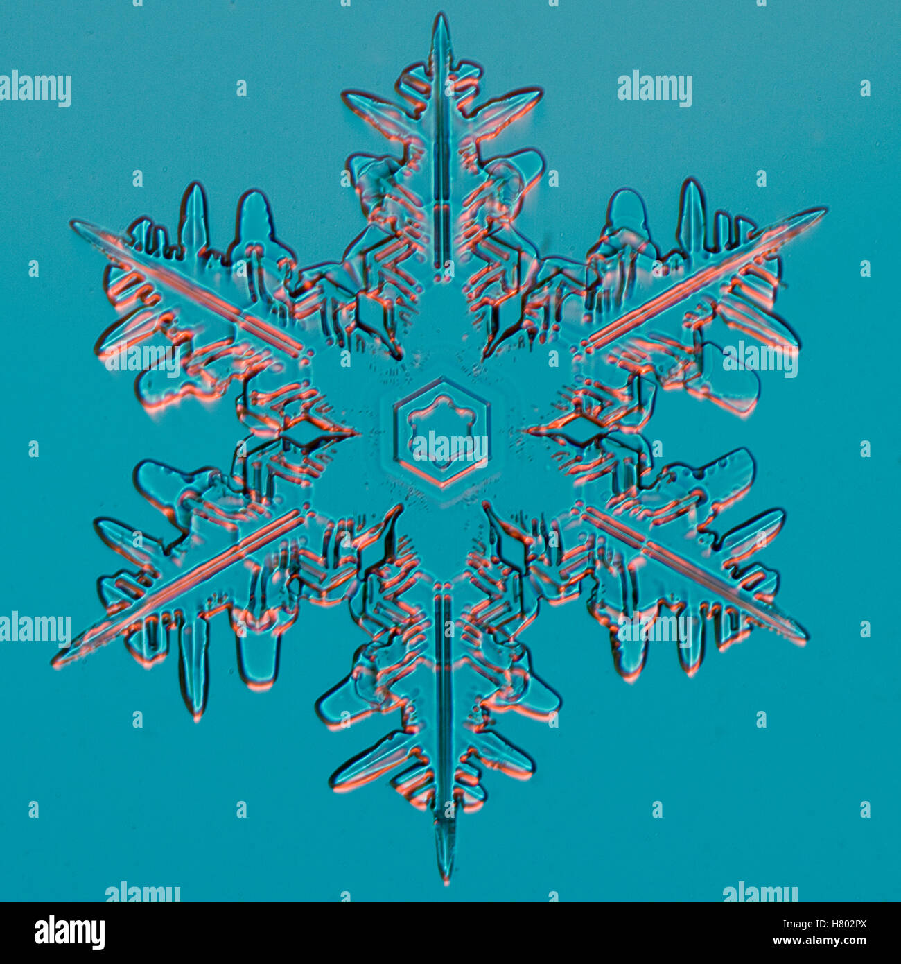 Snowflake seen through microscope Stock Photo - Alamy