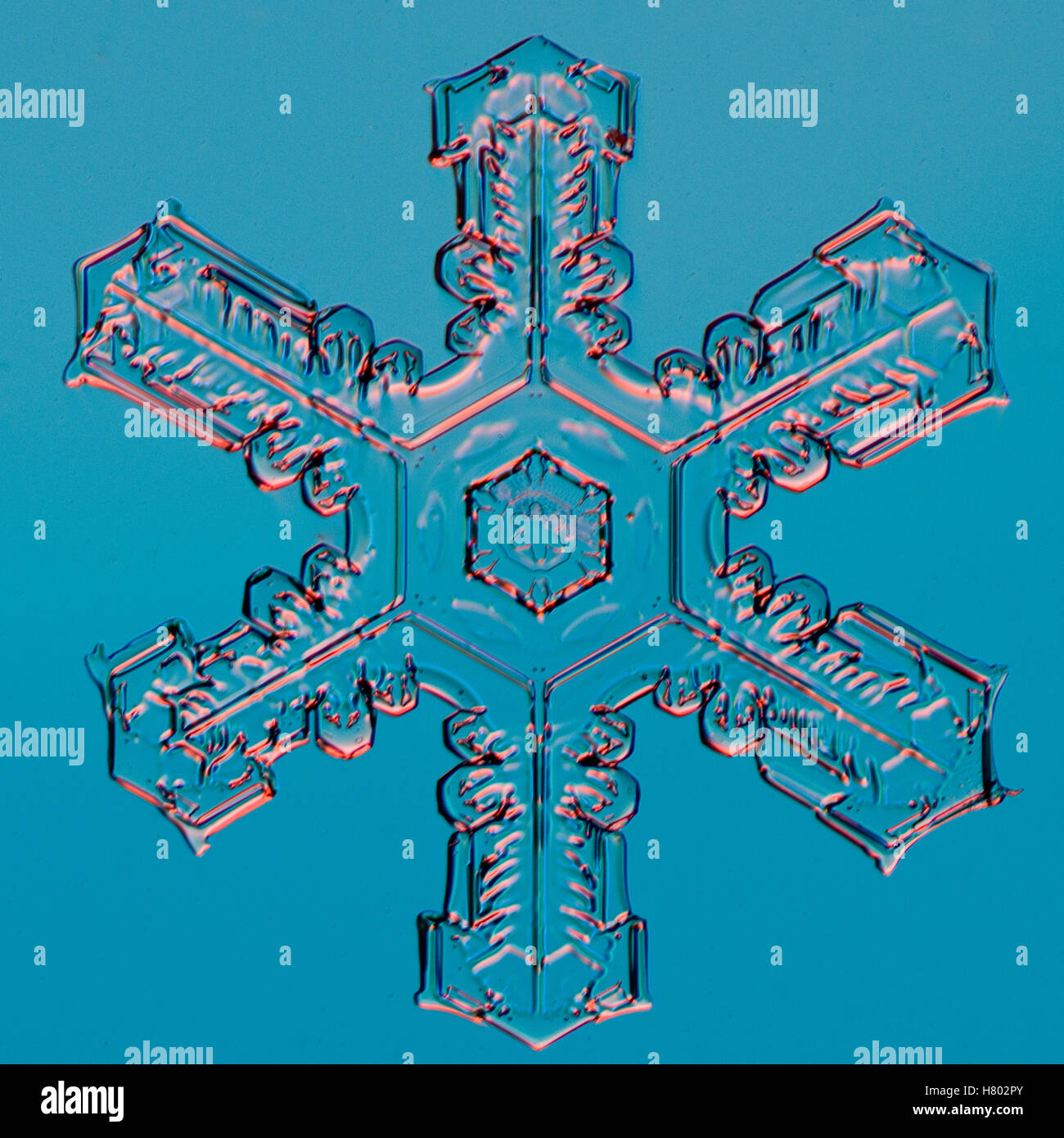 Snowflake seen through microscope Stock Photo - Alamy