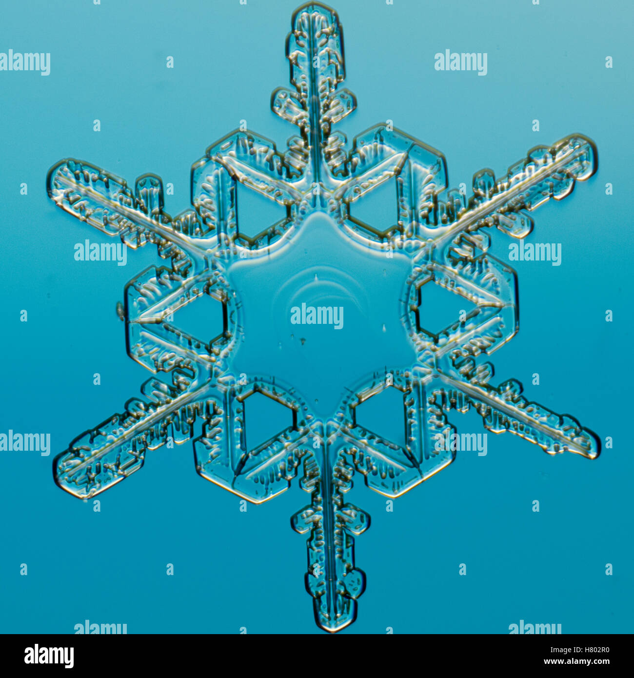 Snowflake seen through microscope Stock Photo - Alamy