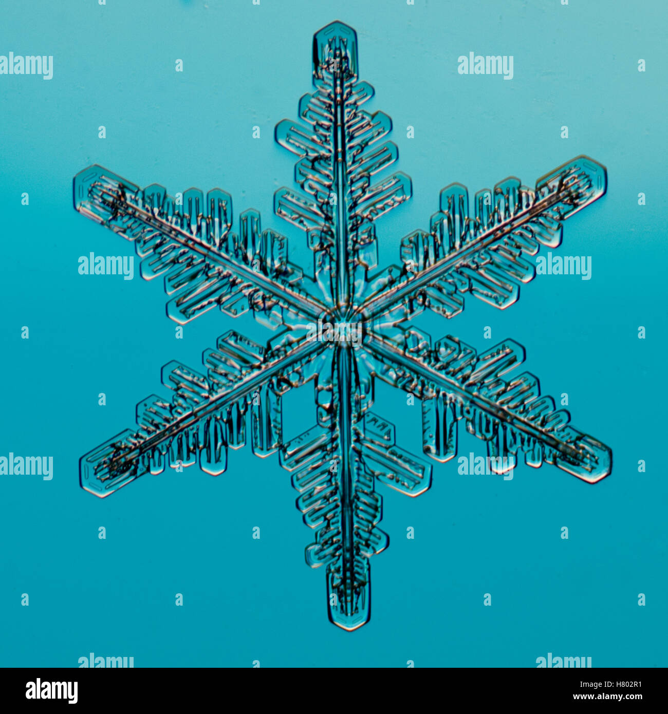 Snowflake seen through microscope Stock Photo - Alamy