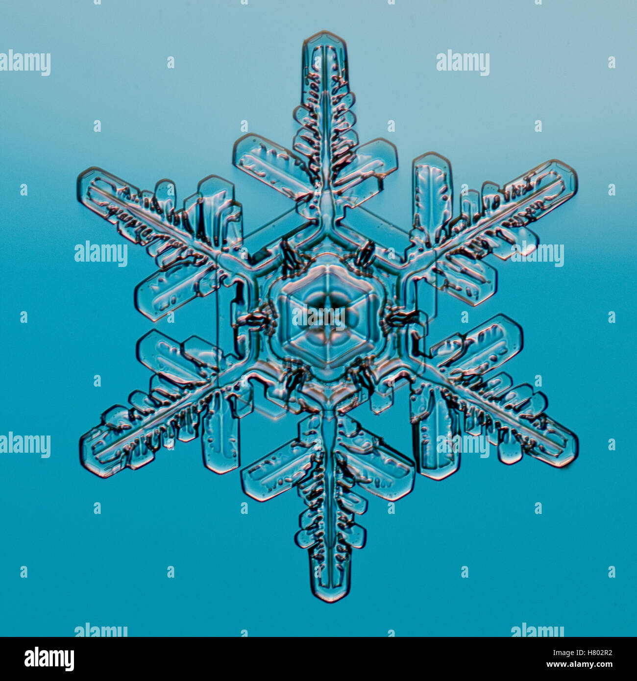 Snowflake seen through microscope Stock Photo - Alamy