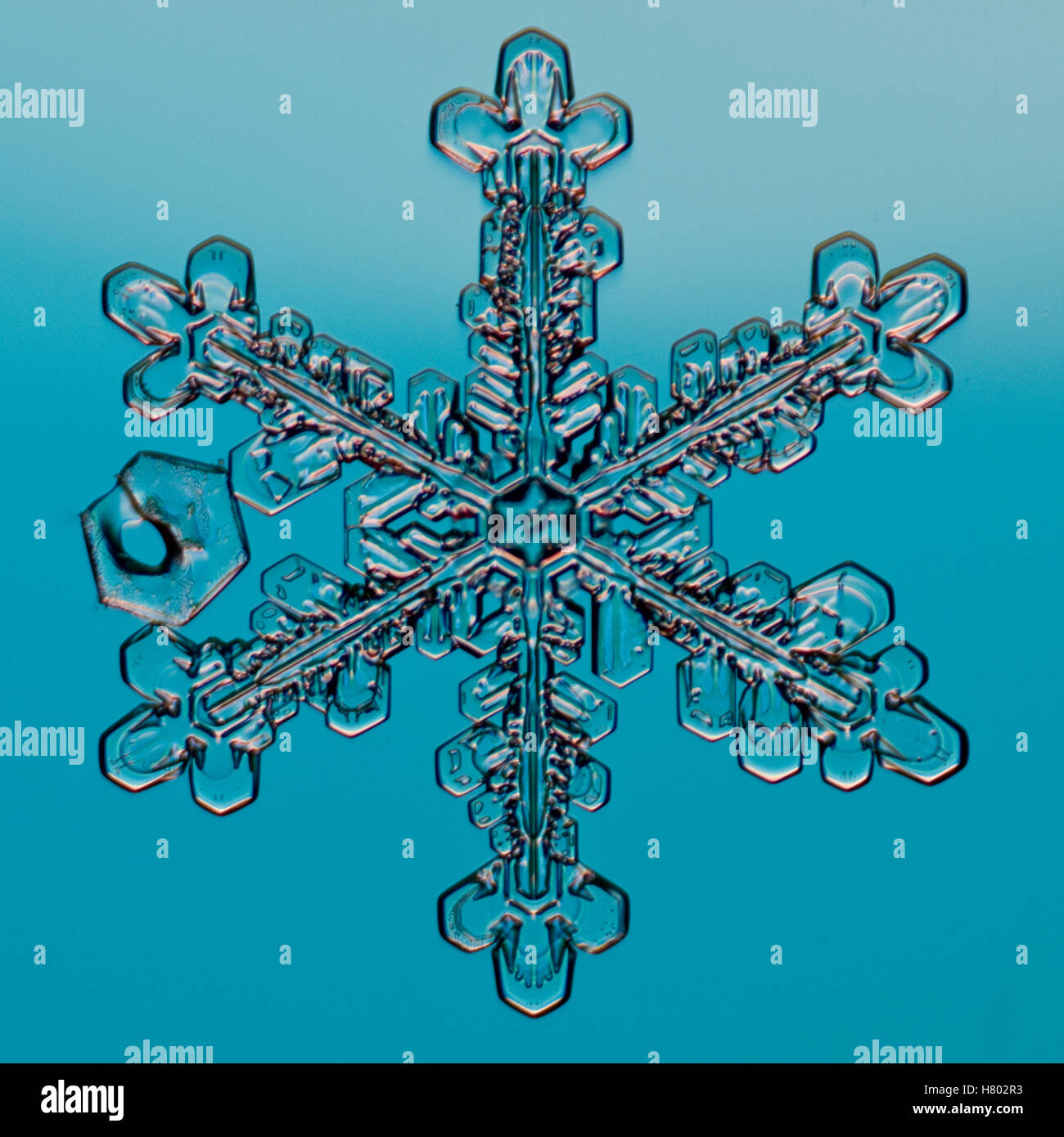 Snowflake seen through microscope Stock Photo - Alamy