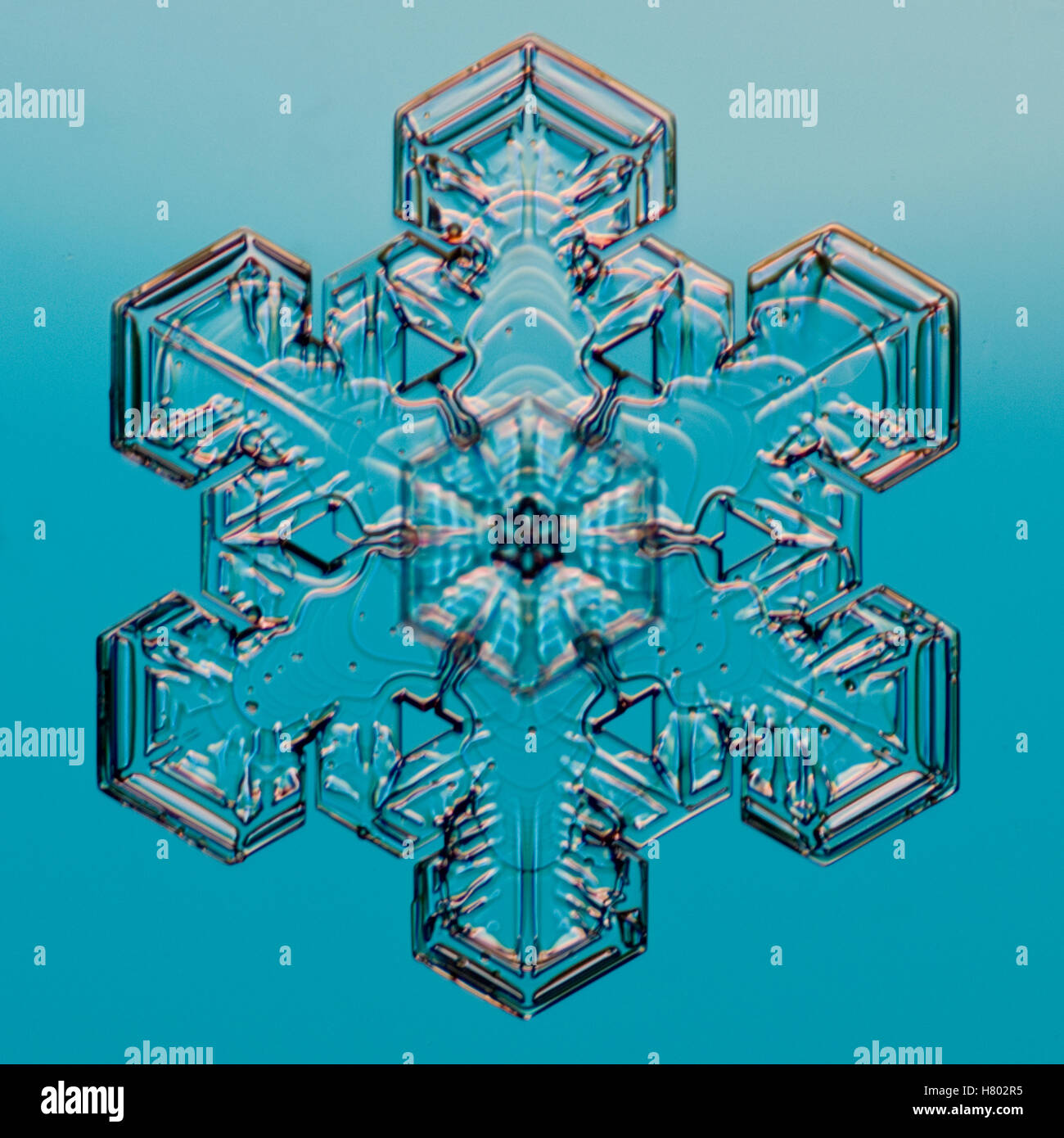 Snowflake seen through microscope Stock Photo - Alamy