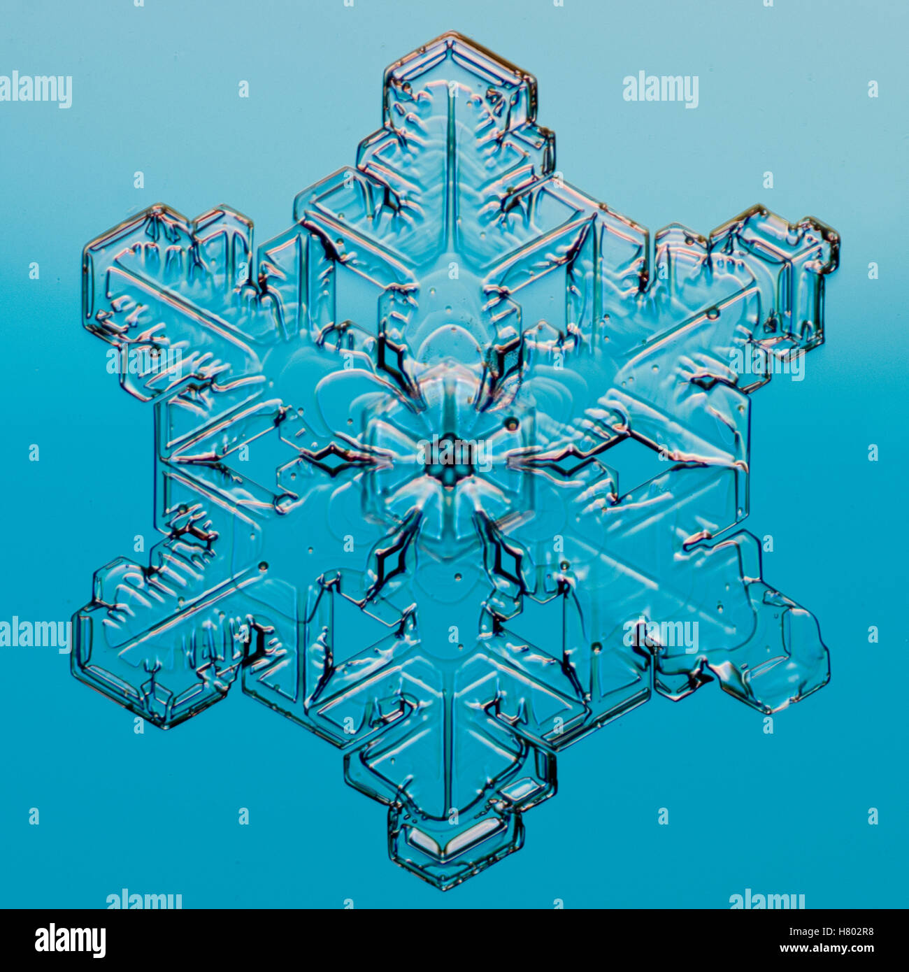 Snowflake seen through microscope Stock Photo - Alamy