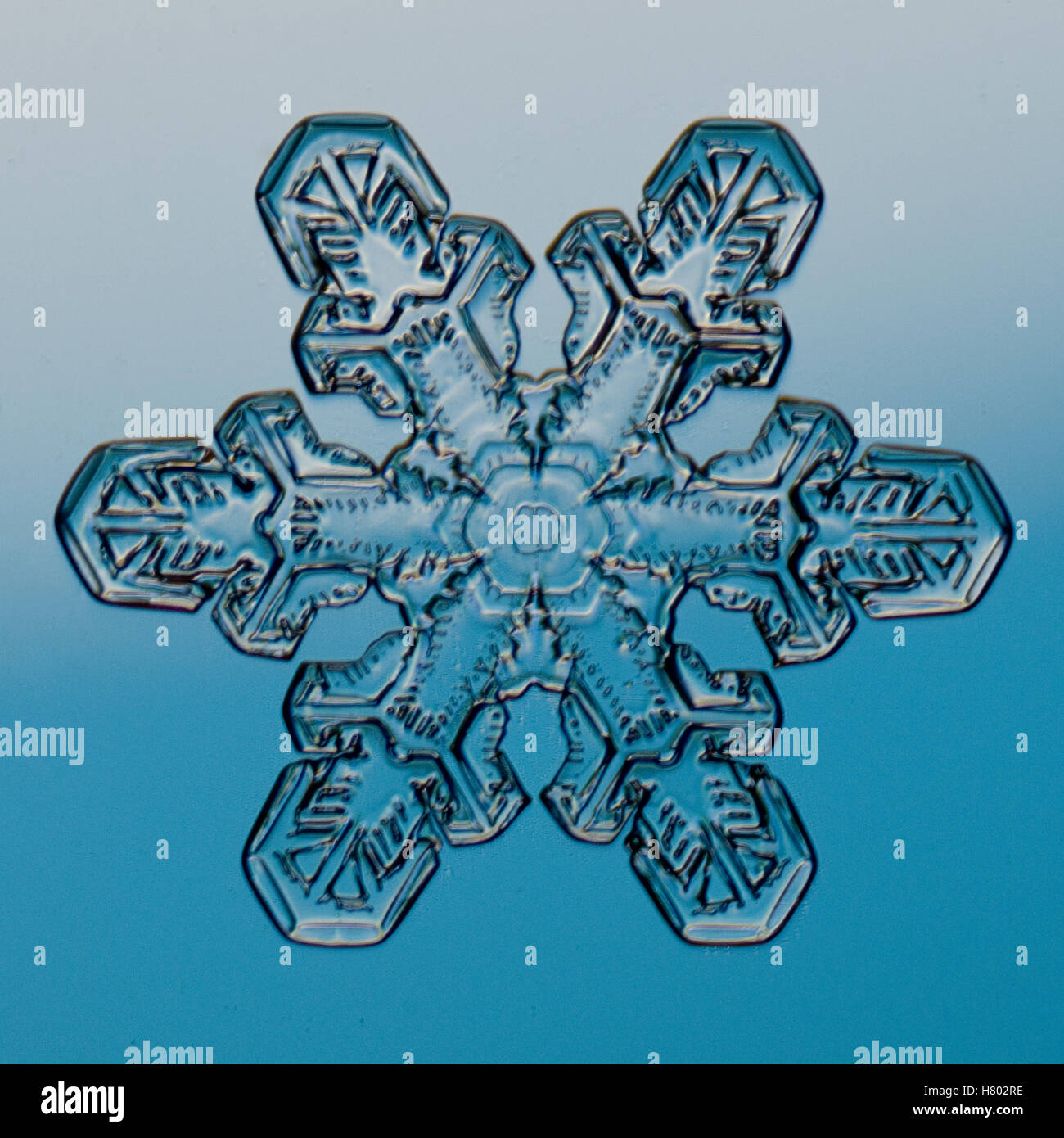 Snowflake seen through microscope Stock Photo - Alamy