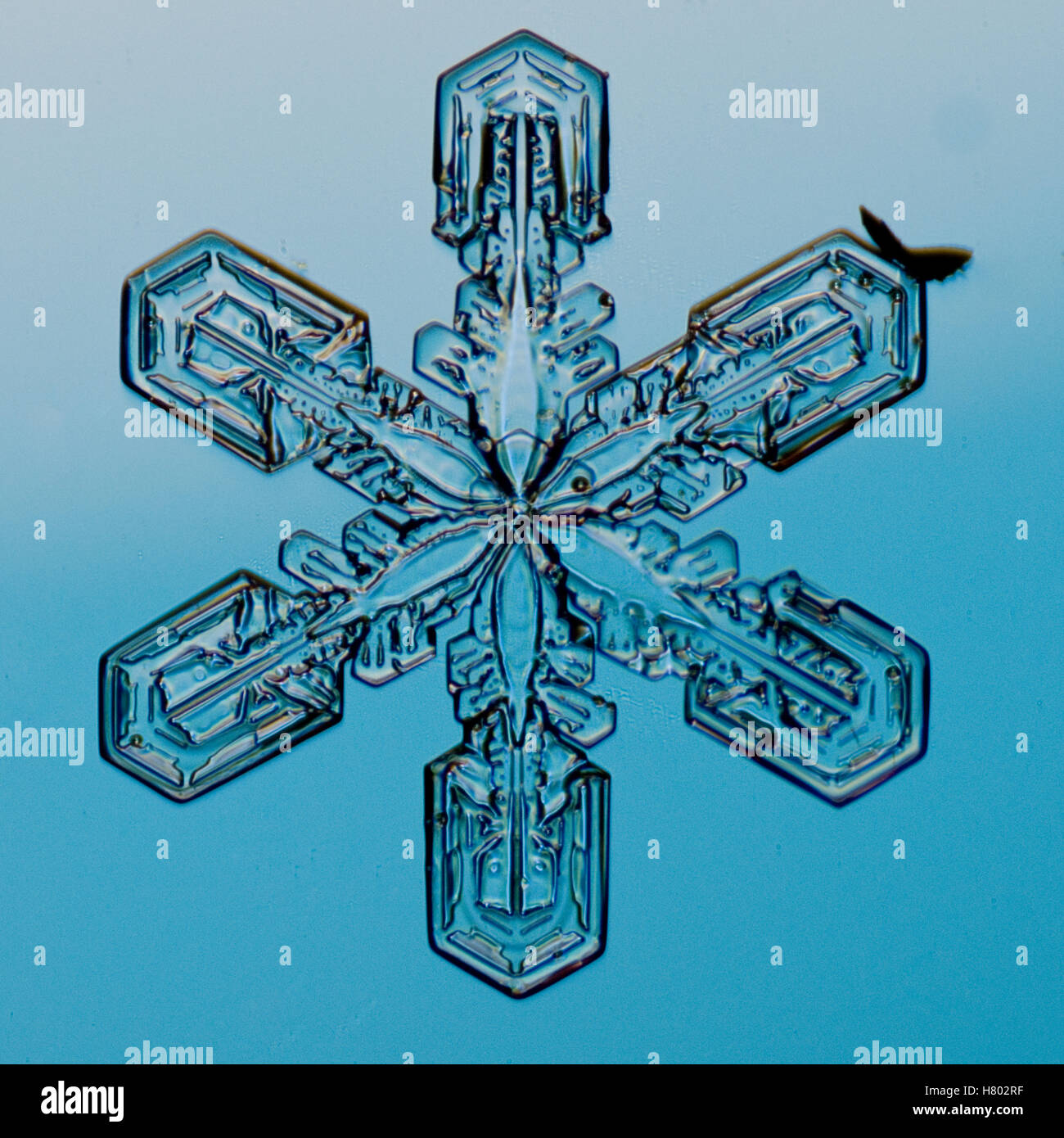 Snowflake seen through microscope Stock Photo - Alamy