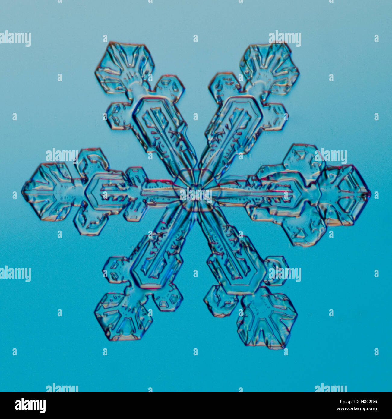 Snowflake seen through microscope Stock Photo - Alamy