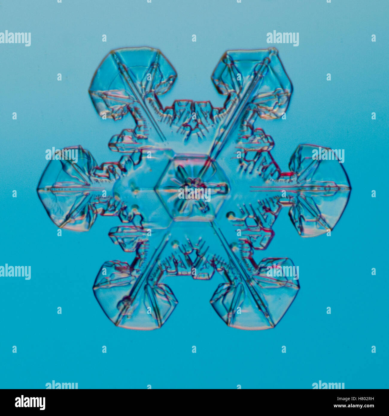 Snowflake seen through microscope Stock Photo - Alamy