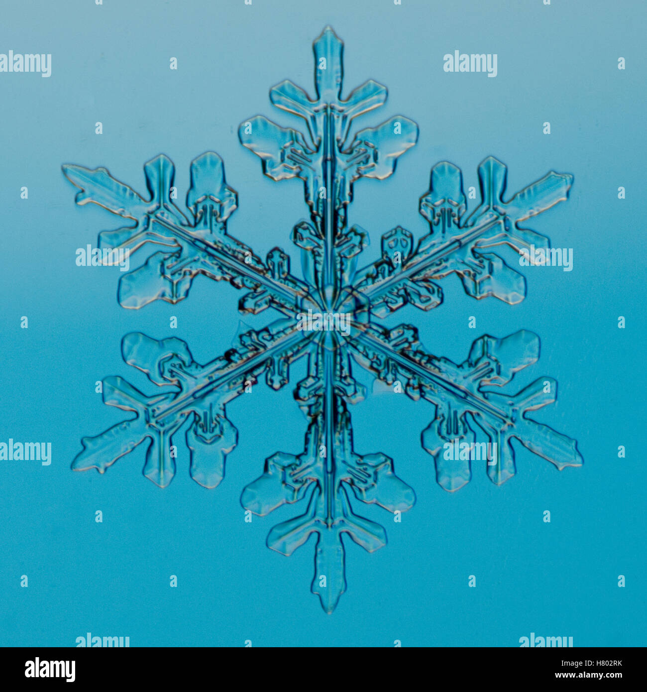 Snowflake seen through microscope Stock Photo - Alamy
