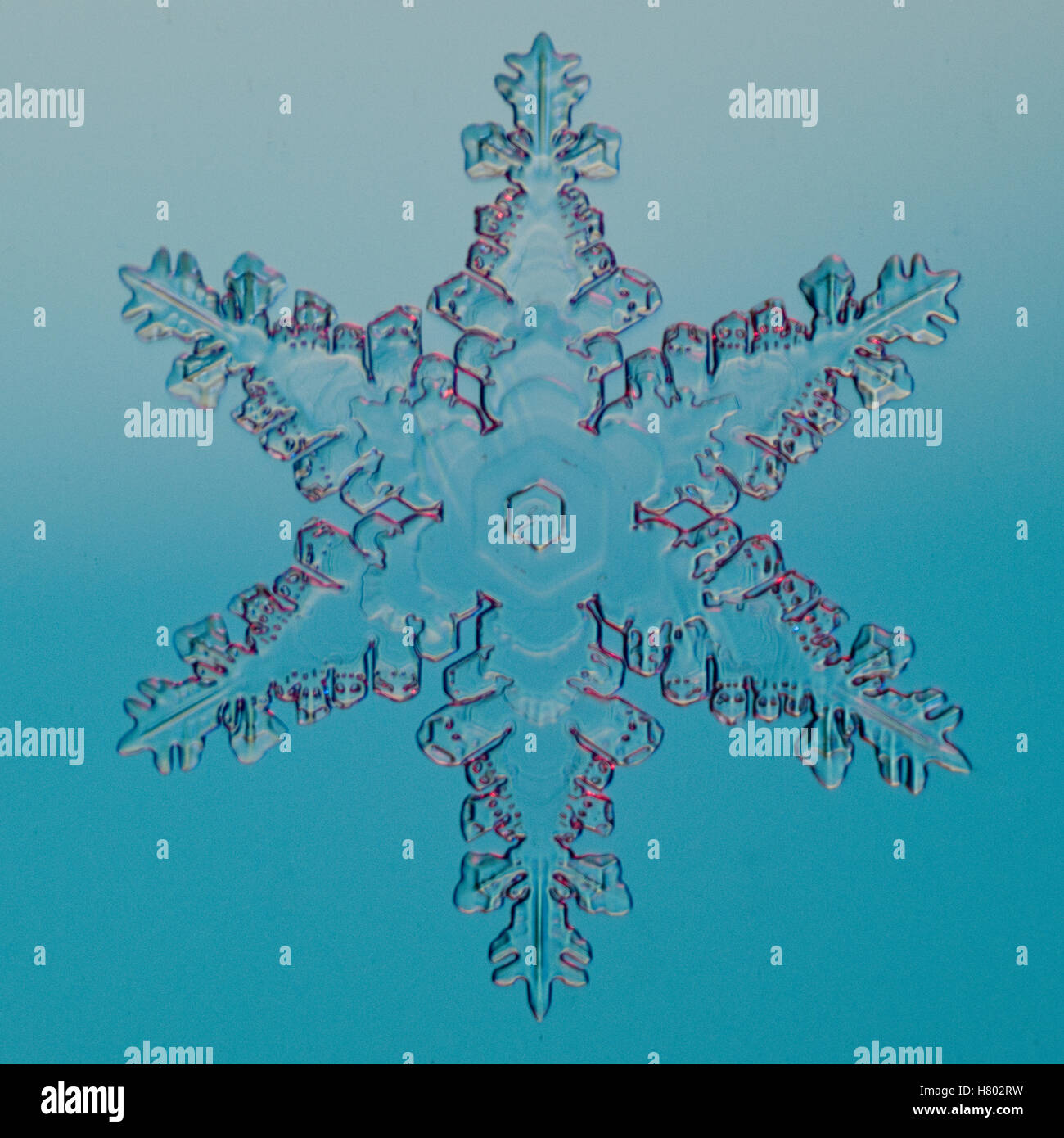 Snowflake seen through microscope Stock Photo - Alamy