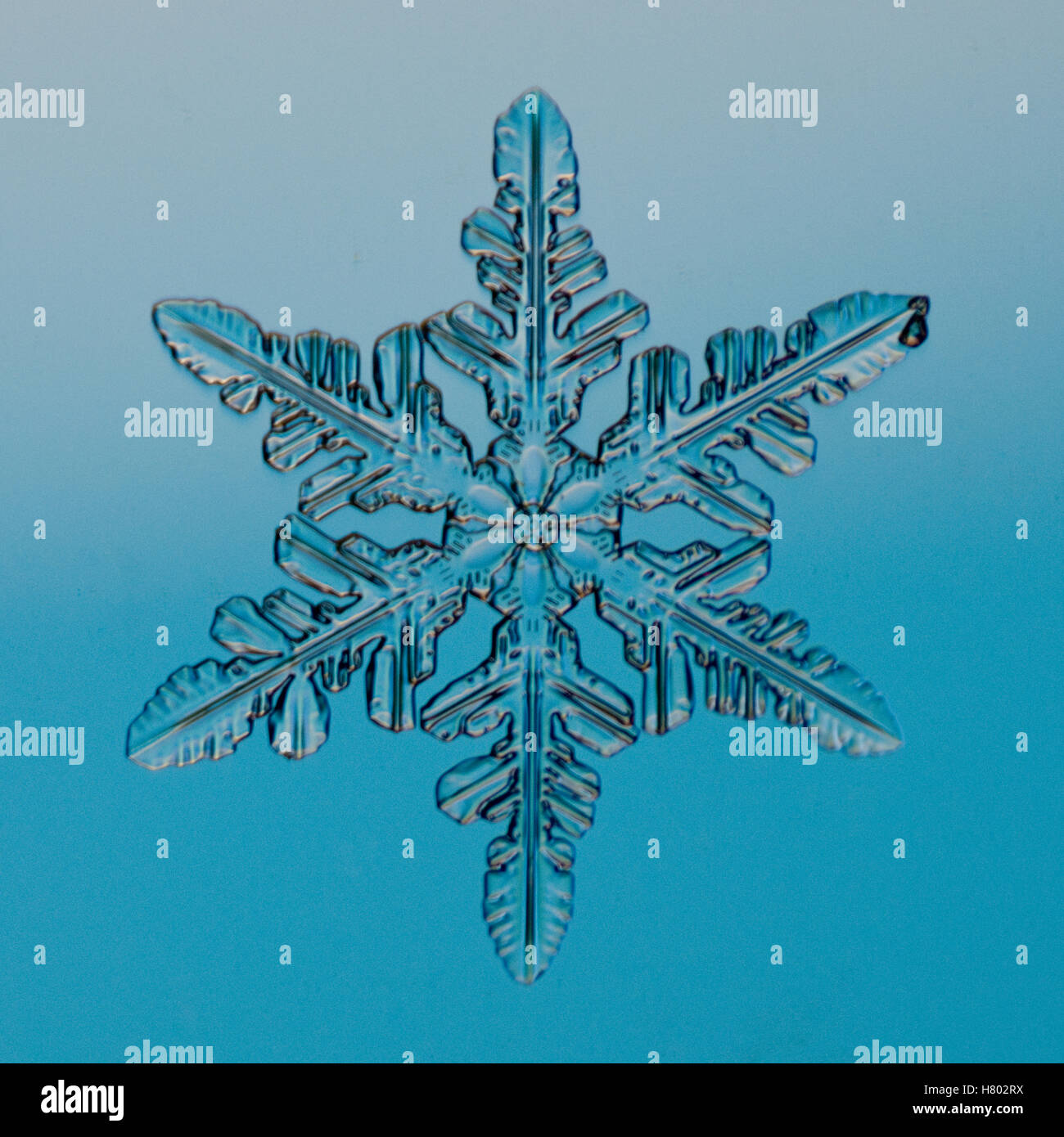 Snowflake seen through microscope Stock Photo - Alamy