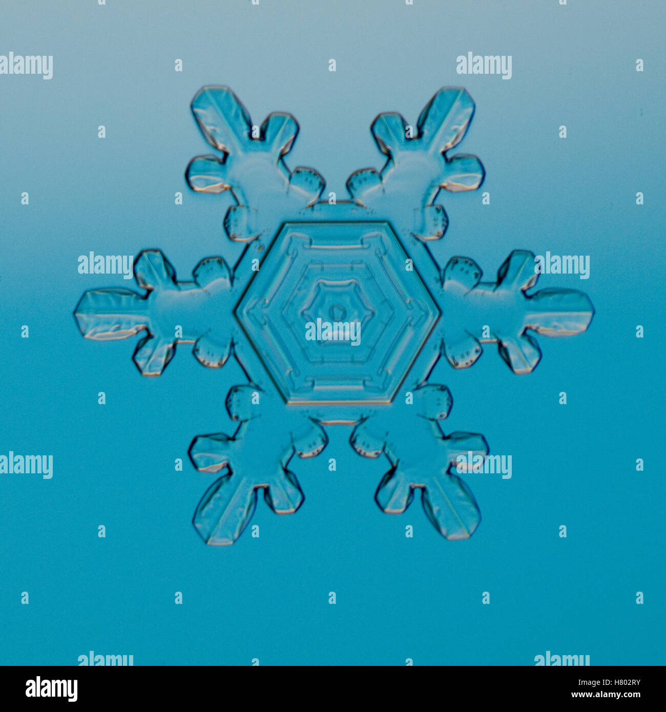 Snowflake seen through microscope Stock Photo - Alamy