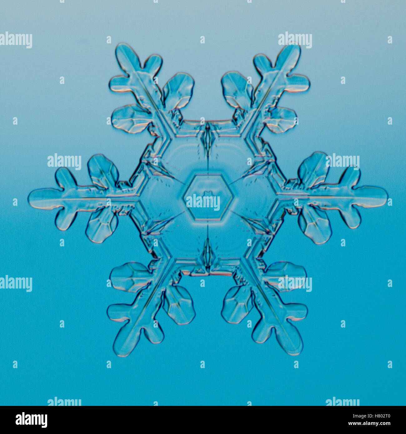 Snowflake seen through microscope Stock Photo - Alamy