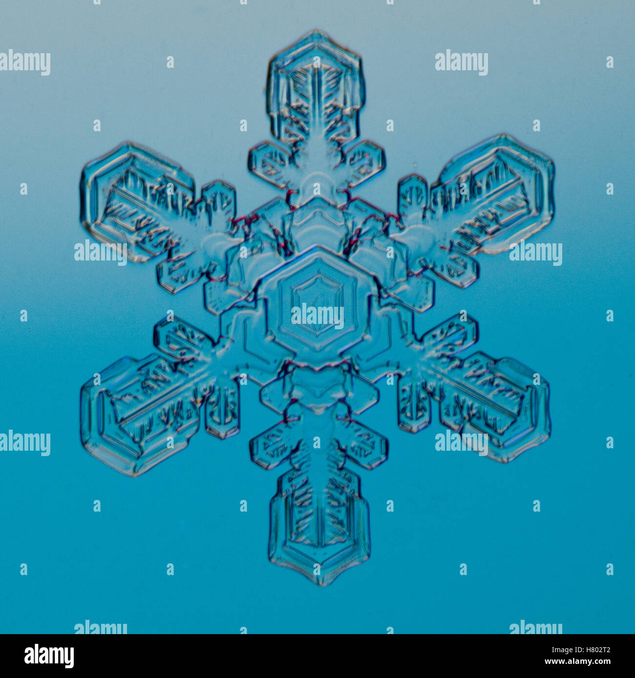 Snowflake seen through microscope Stock Photo - Alamy