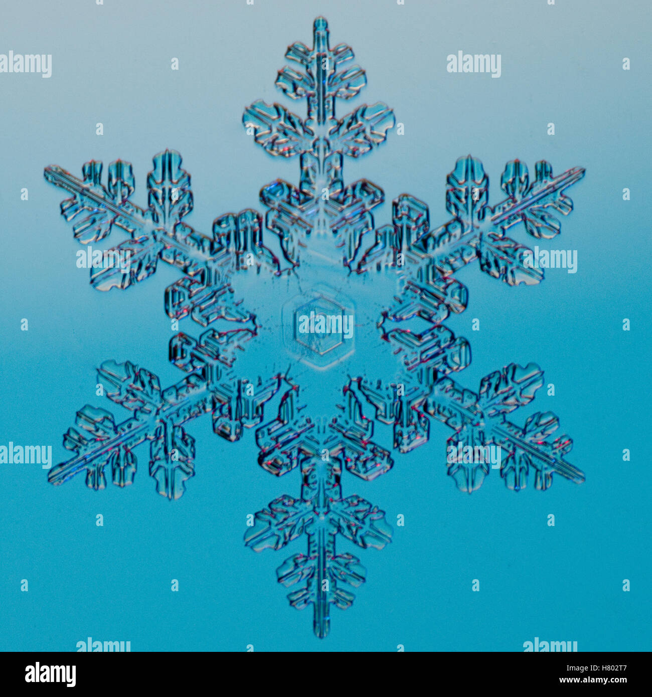 Snowflake seen through microscope Stock Photo - Alamy