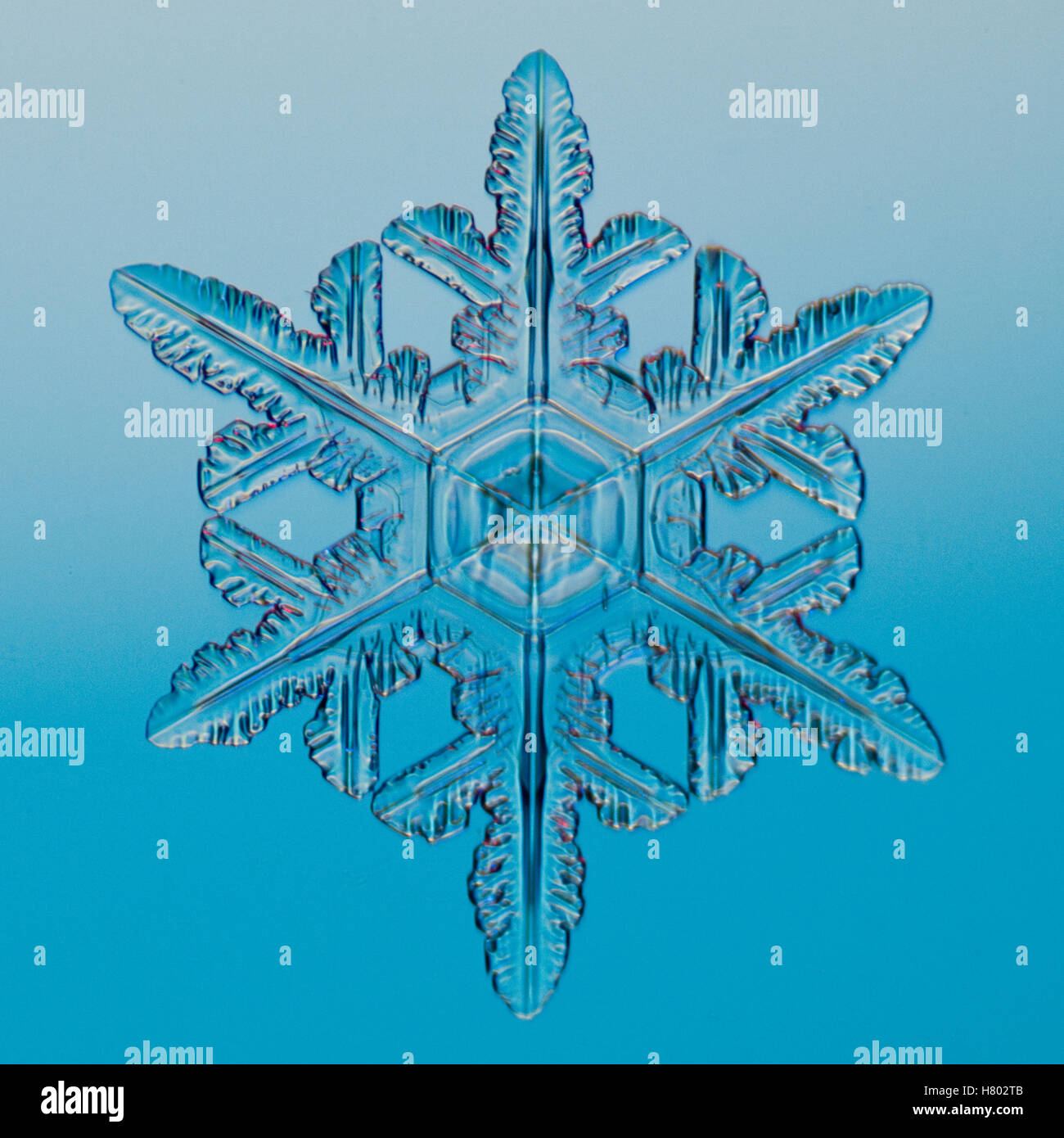 Snowflake seen through microscope Stock Photo - Alamy