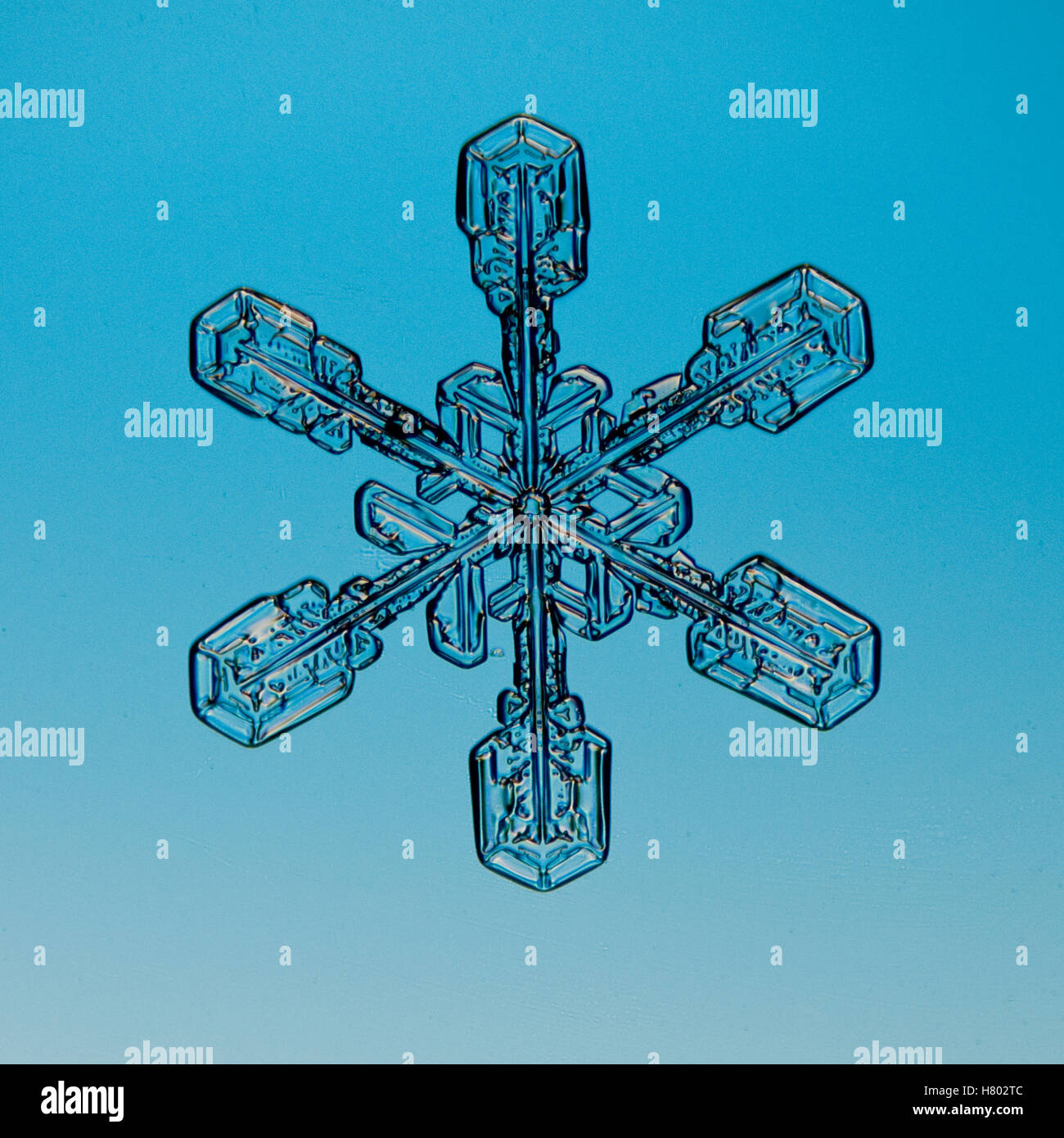 Snowflake seen through microscope Stock Photo - Alamy