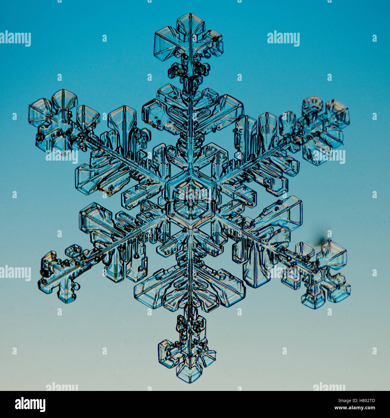 Snowflake seen through microscope Stock Photo - Alamy
