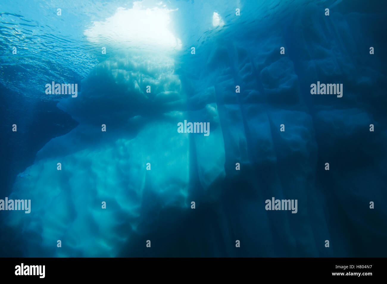 Underwater view of iceberg, Antarctic Peninsula, Antarctica Stock Photo ...