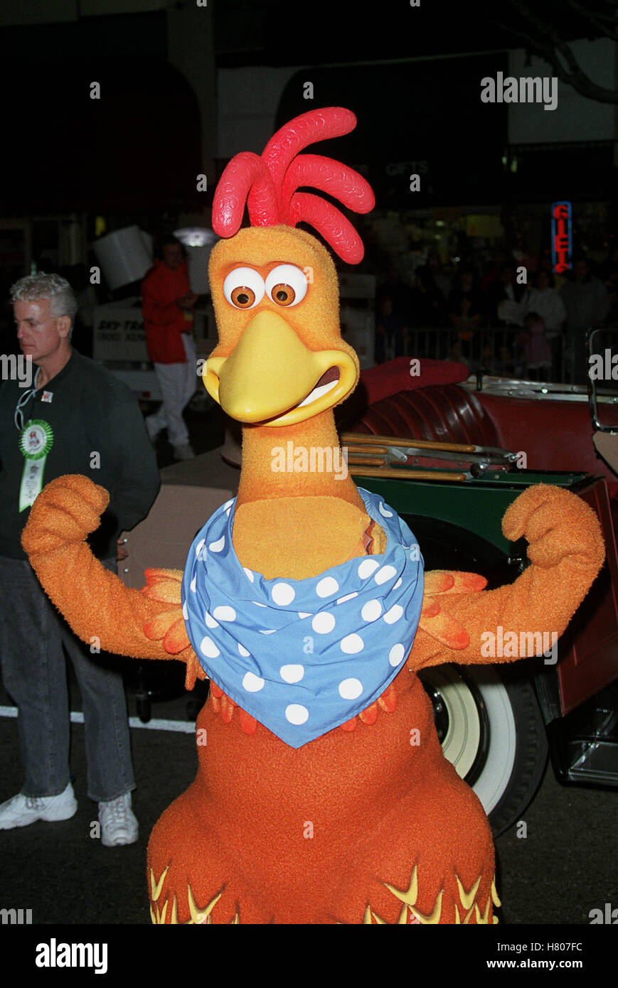 Chicken Run Rocky