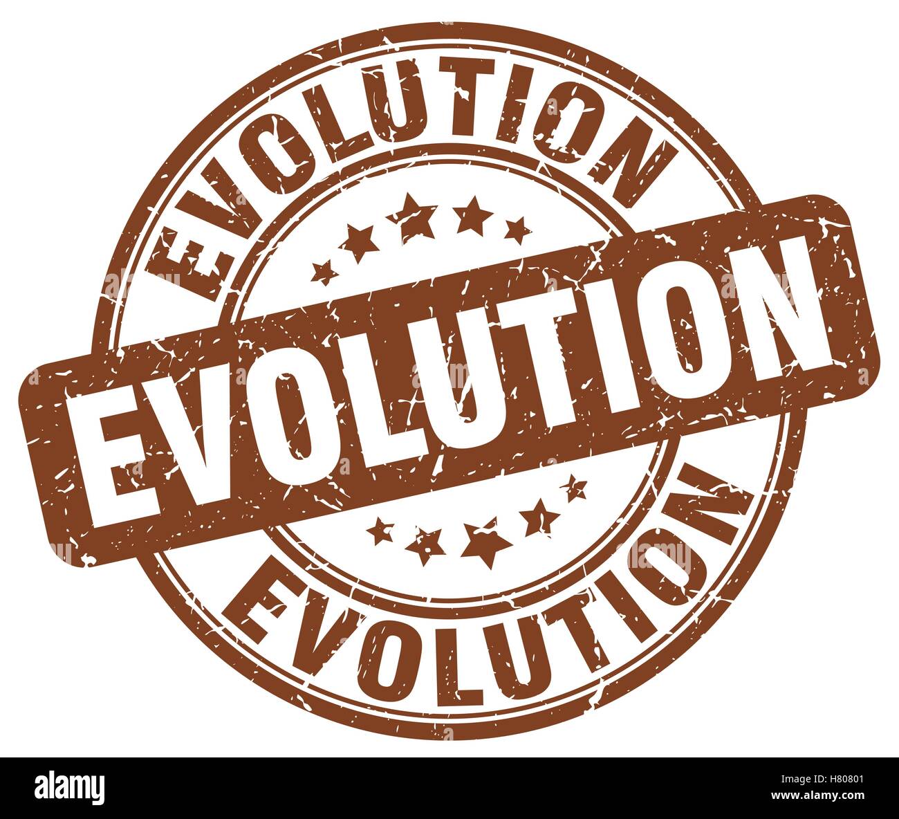 evolution brown grunge stamp Stock Vector Image & Art - Alamy