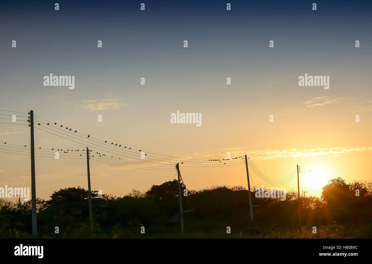Natural evening sunset and filled dark blue color Stock Photo - Alamy