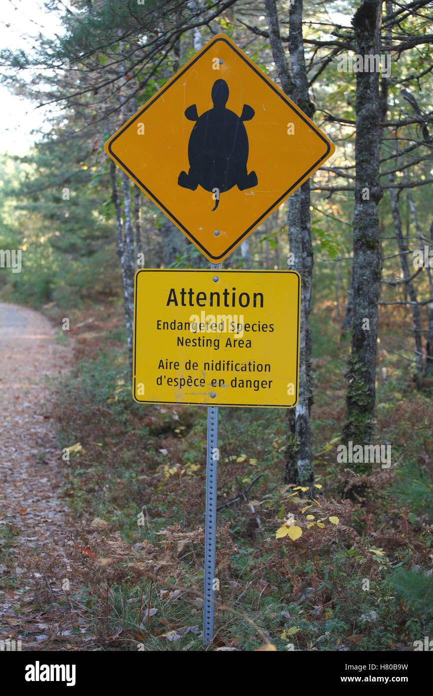 Endangered species turtle sign, Kejimkujik National Park, Nova Scotia ...