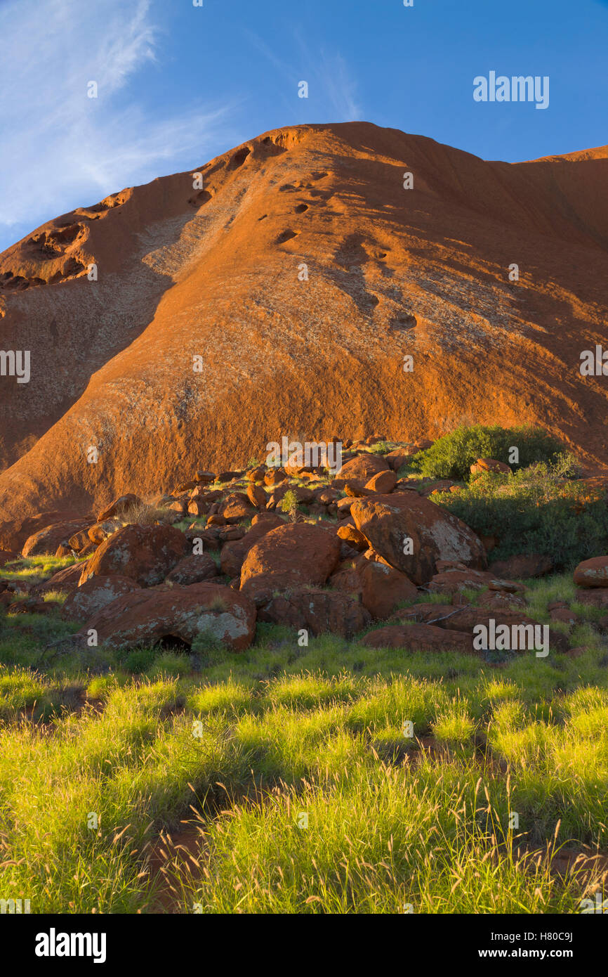 Ayers Rock with lush green vegetation after heavy rains, Uluru-kata ...