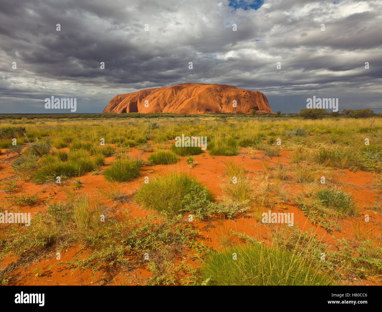 Ayers Rock, Uluru-kata Tjuta National Park, Northern Territory ...