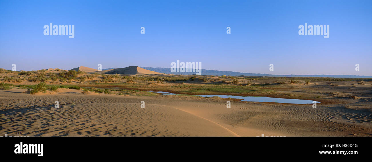 Oasis, Hongryn Eels, Gobi Desert, Mongolia Stock Photo - Alamy
