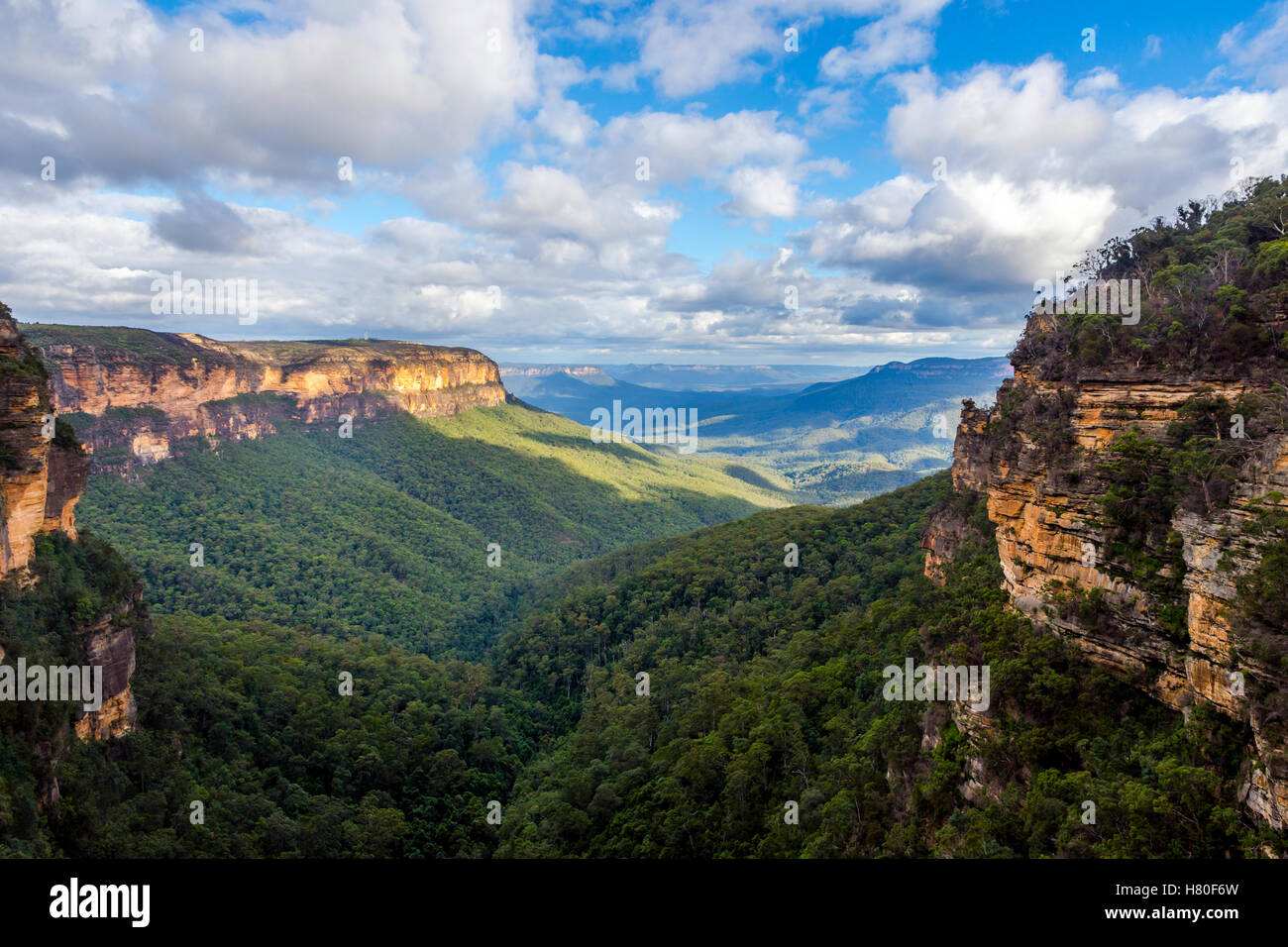 View over blue mountains national park, Australia Stock Photo - Alamy