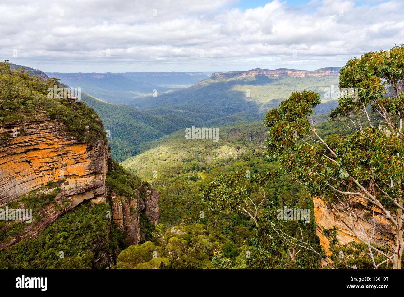 View over blue mountains national park, Australia Stock Photo - Alamy