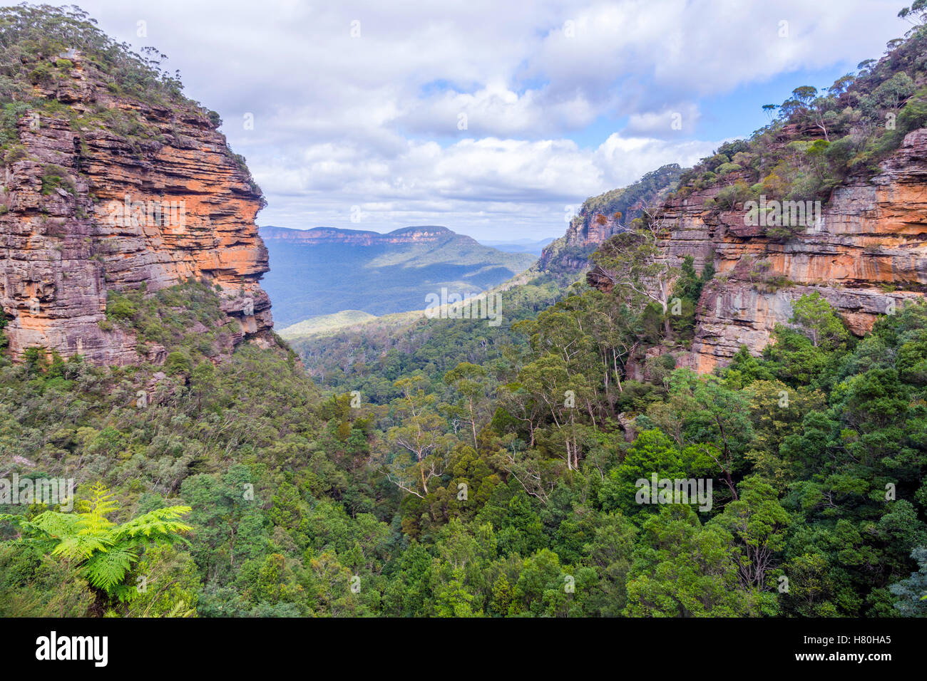 View over blue mountains national park, Australia Stock Photo - Alamy