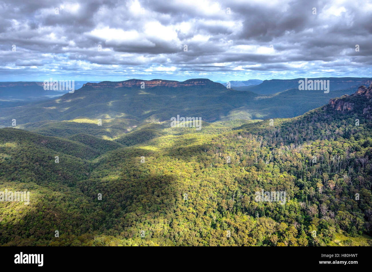 View over blue mountains national park, Australia Stock Photo - Alamy