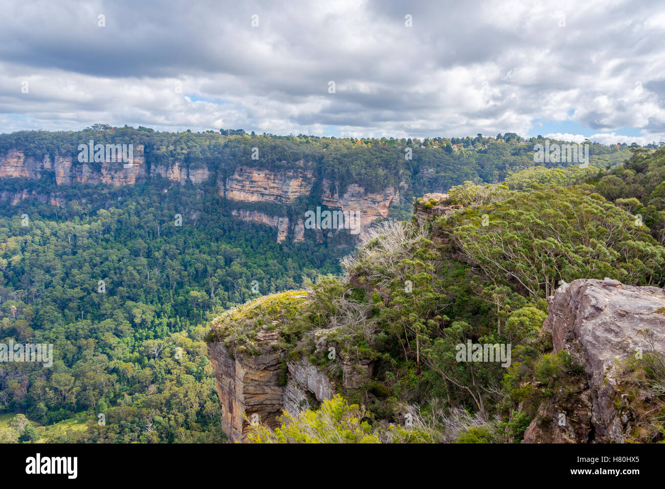 View over blue mountains national park, Australia Stock Photo - Alamy