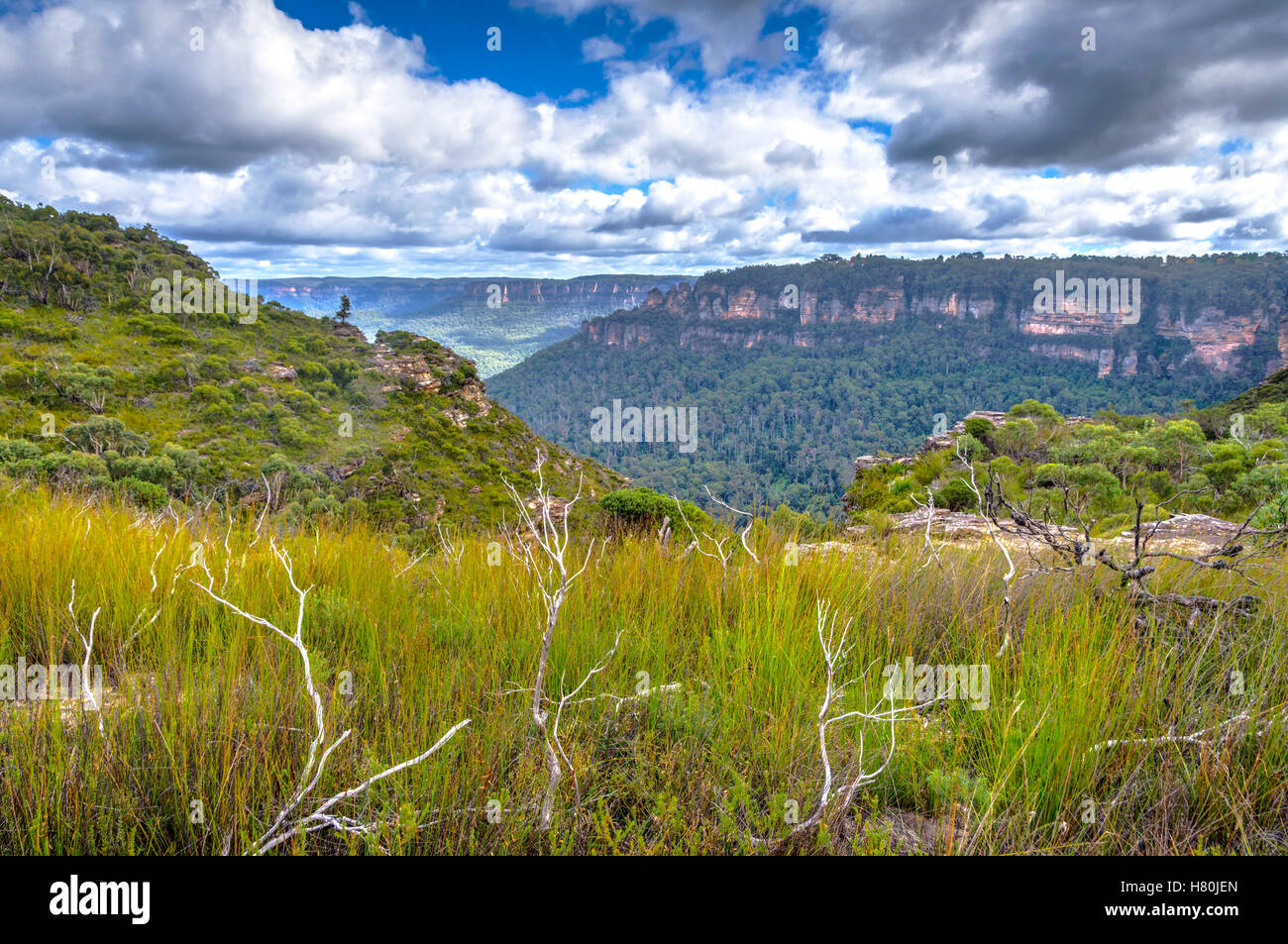 Blue mountains australia hi-res stock photography and images - Alamy
