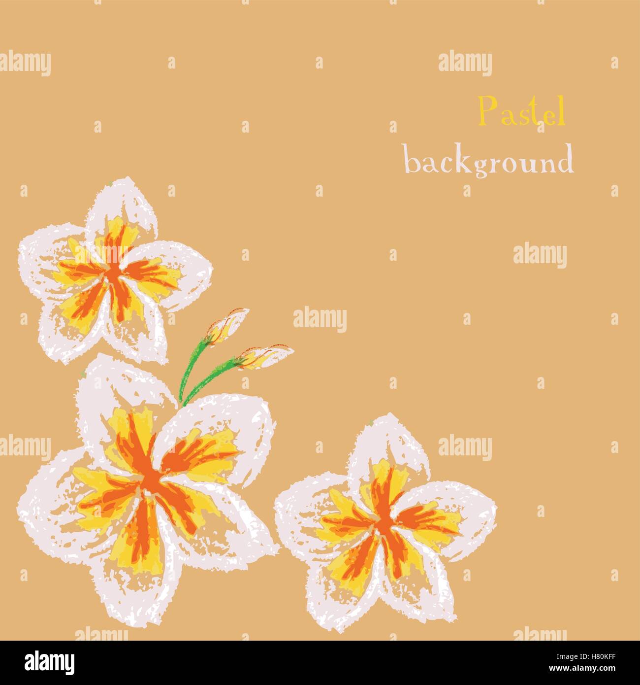 Frangipani vector vectors hi-res stock photography and images - Alamy