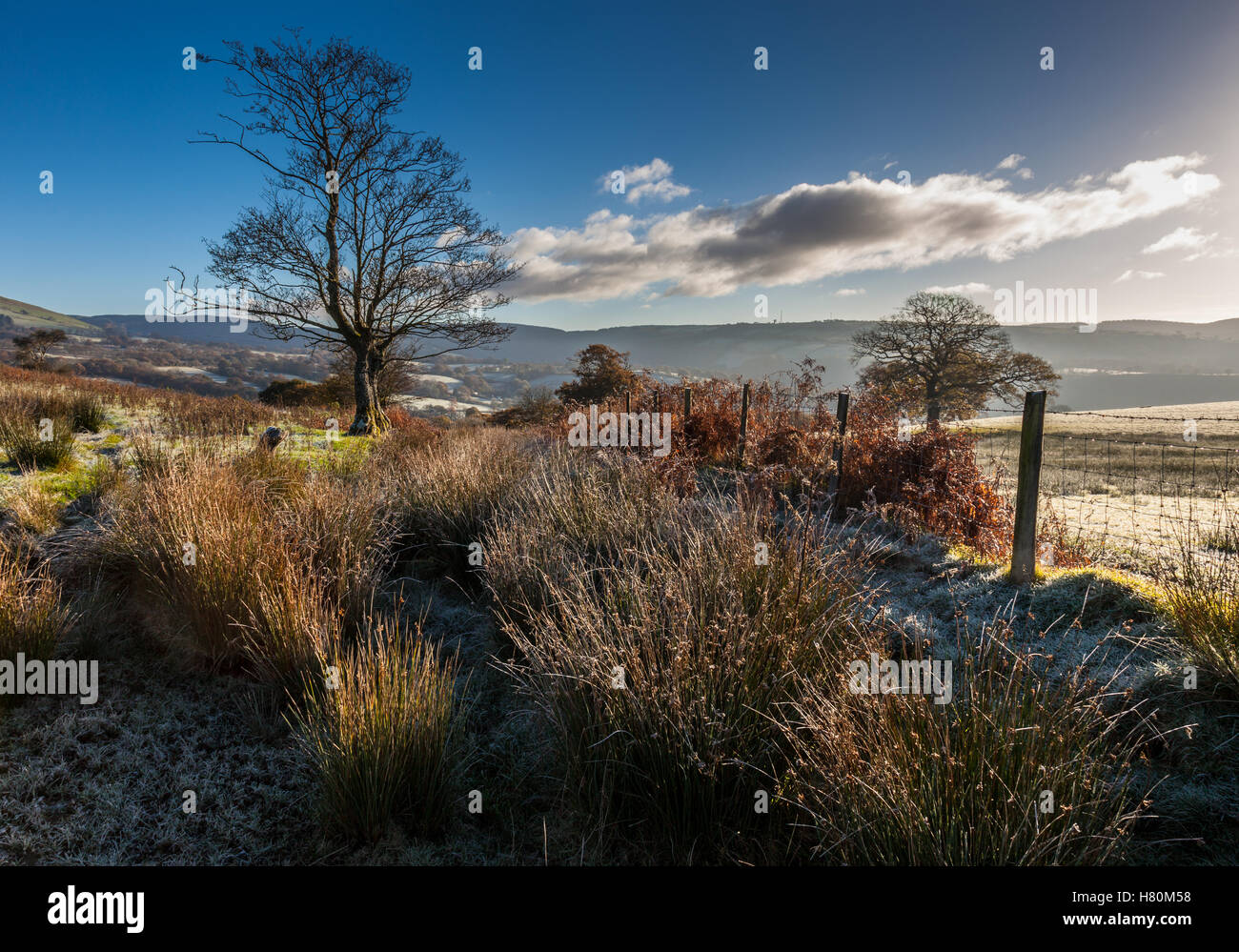 In countryside of carmarthenshire hi-res stock photography and images ...