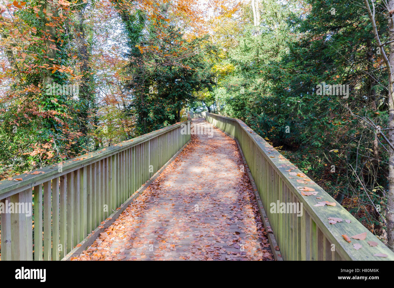 Wooden footbridge for visitors to Symonds Yat Rock in Gloucestershire ...