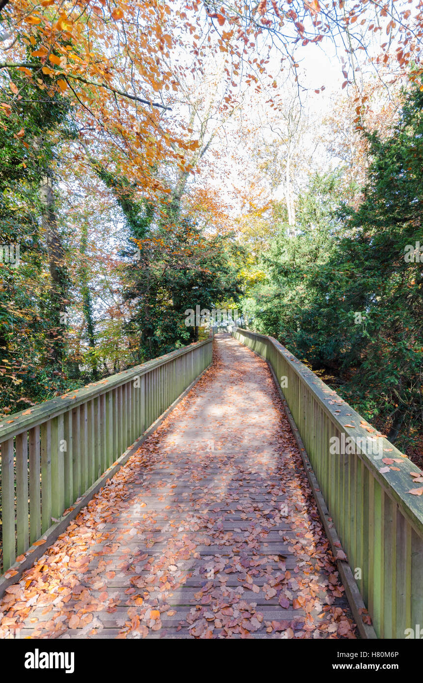 Wooden footbridge for visitors to Symonds Yat Rock in Gloucestershire ...