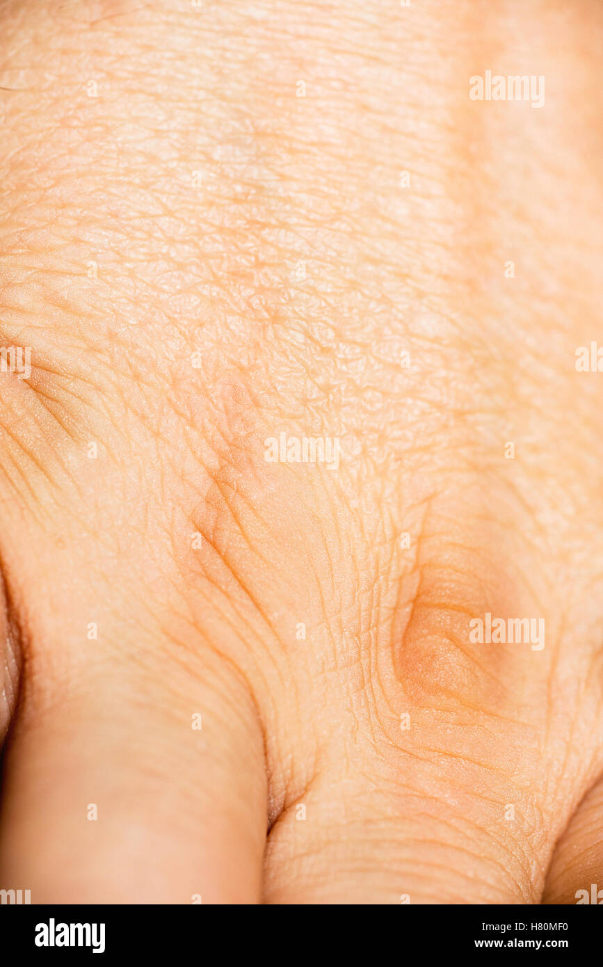 The skin on the back of a man's hand Stock Photo - Alamy