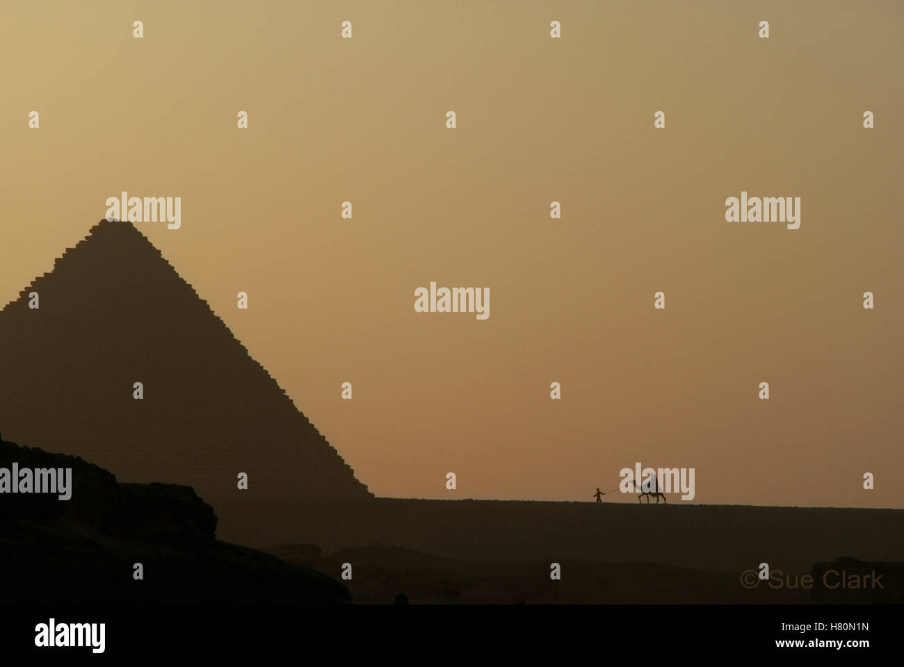 Camel silhouette pyramids hi-res stock photography and images - Alamy