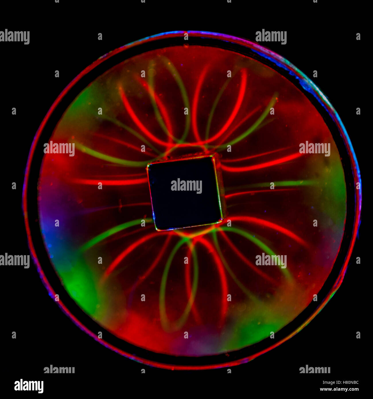 the magnetic field that comes from magnets are shown in beautiful ...