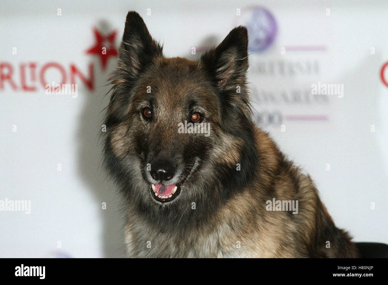 Wellard eastenders hi-res stock photography and images - Alamy