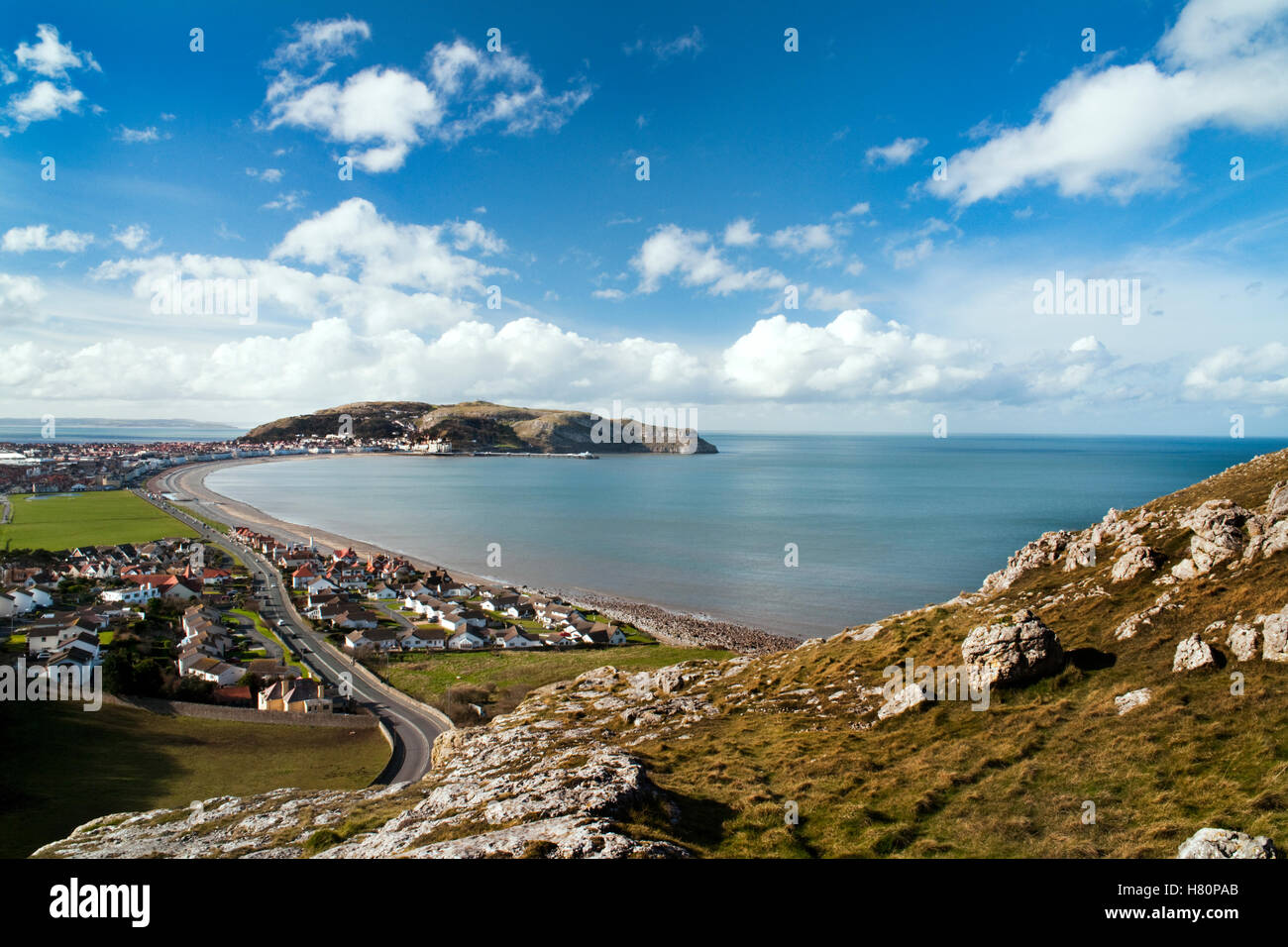 View W from lower terraces of the Little Orme to the Great Orme ...