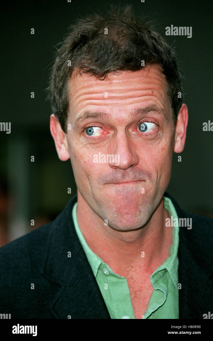 Hugh Laurie Stuart Little