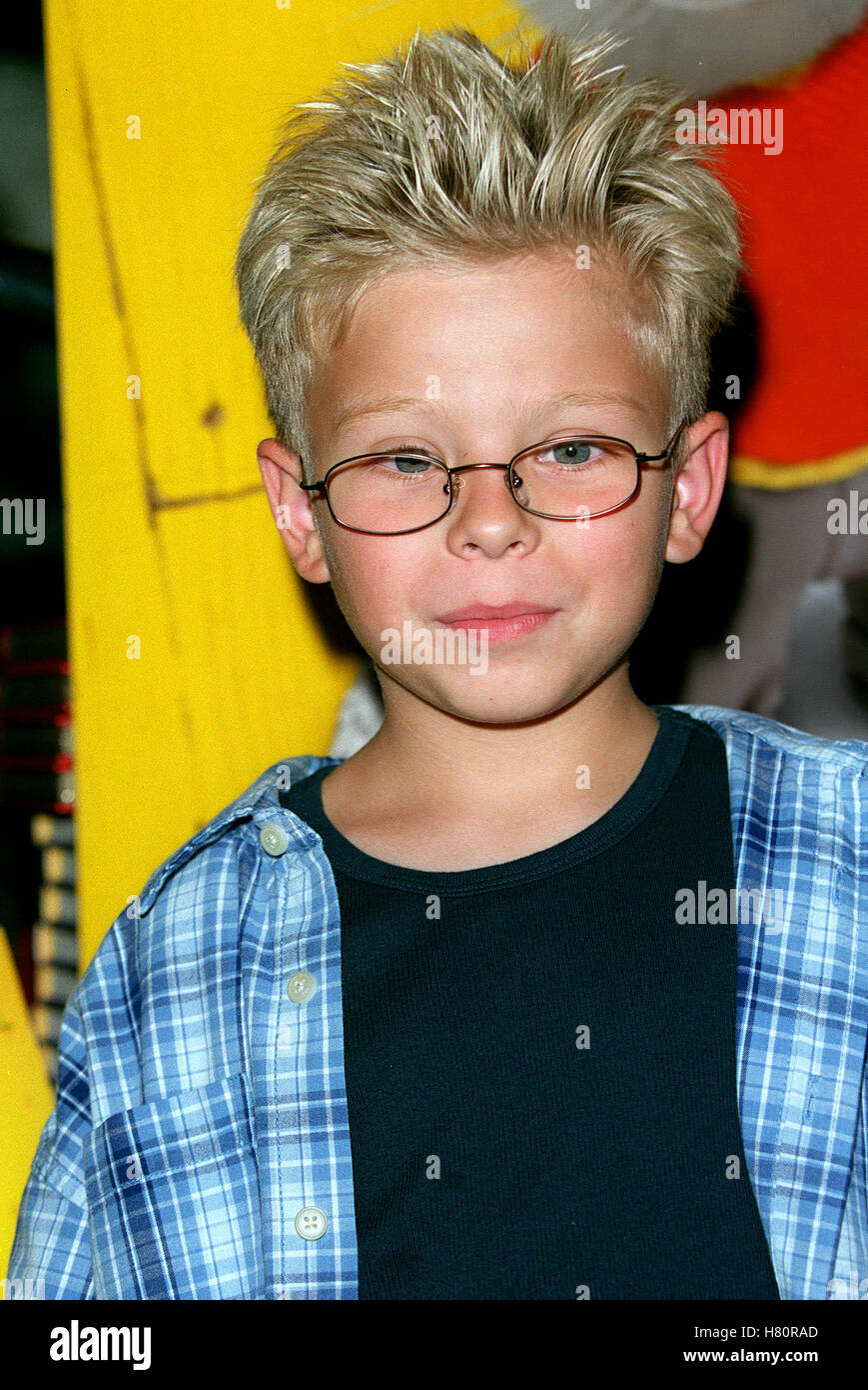 Stuart little boy - vicasouthern