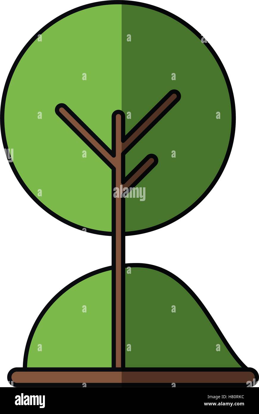 Isolated tree plant design Stock Vector Image & Art - Alamy