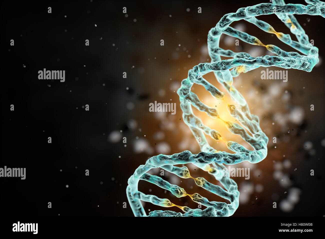 Human dna hi-res stock photography and images - Alamy